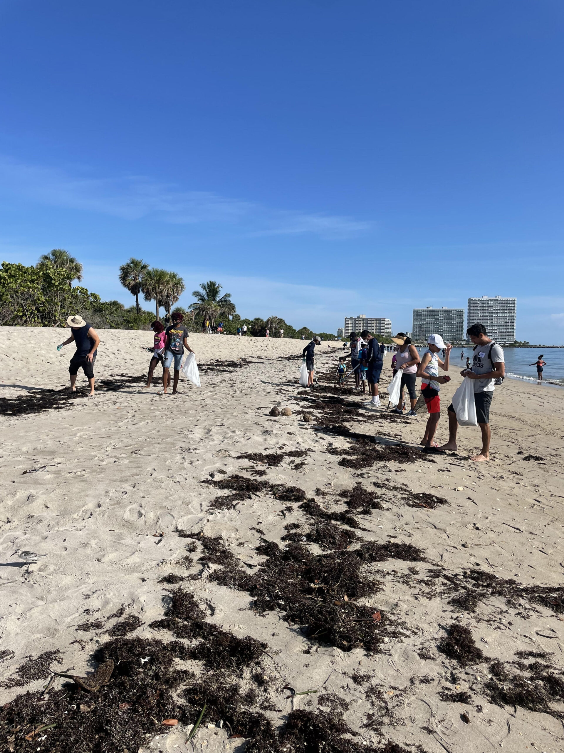 Teaming Up and Cleaning Up to Help Save Our Florida Beaches - Solarize USA